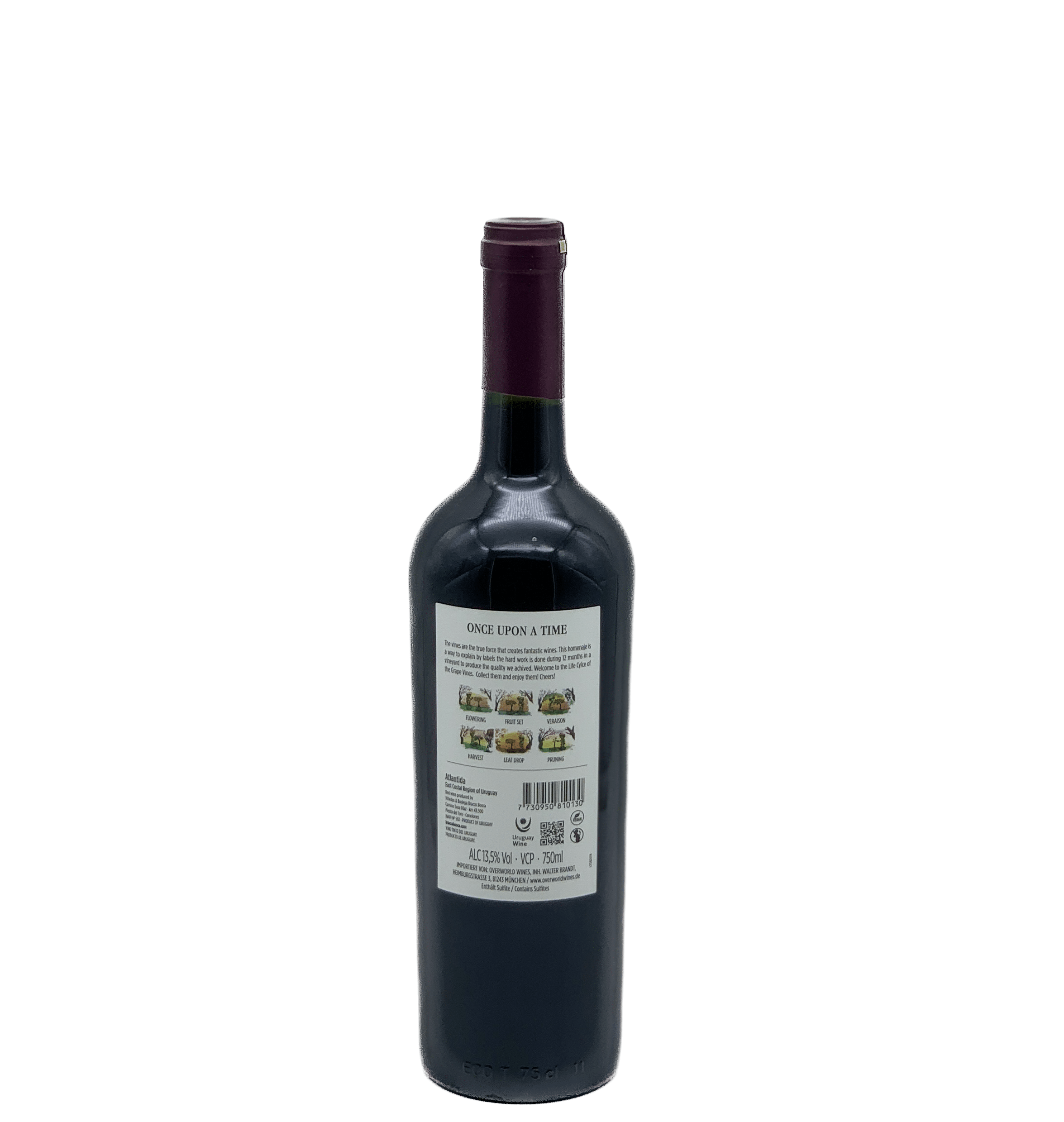 BRACCO-BOSCA Once Upon A Time… FRUIT SET – Tannat 2019 – Overworld Wines