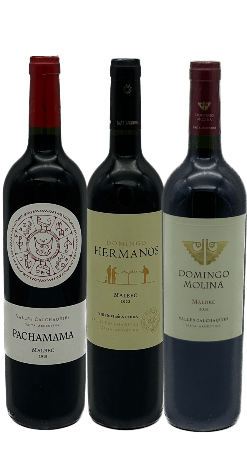 Malbec aus Salta 3 Flaschen Domingo Molina – Overworld Wines